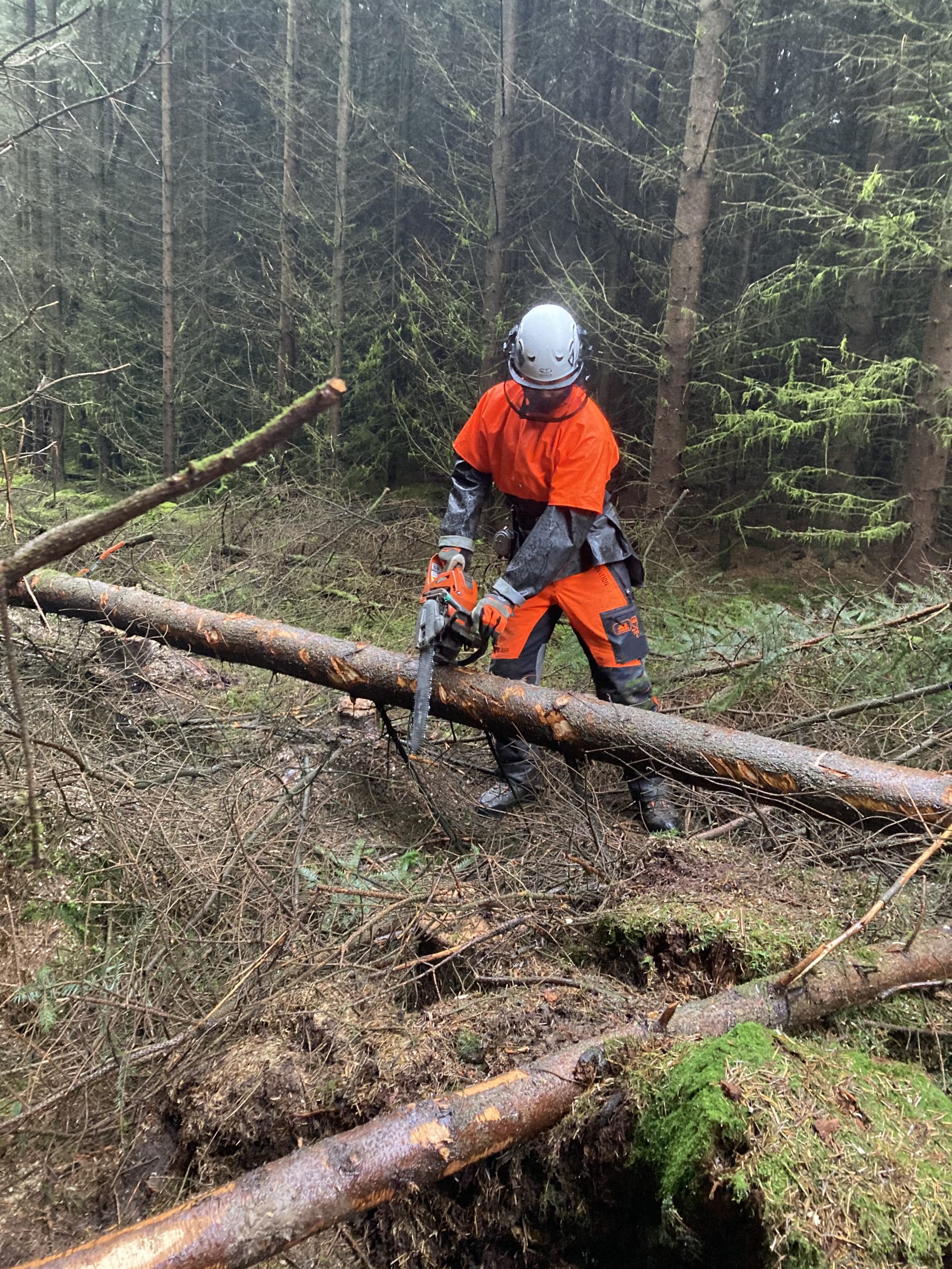 Courses | Wear Forestry Training